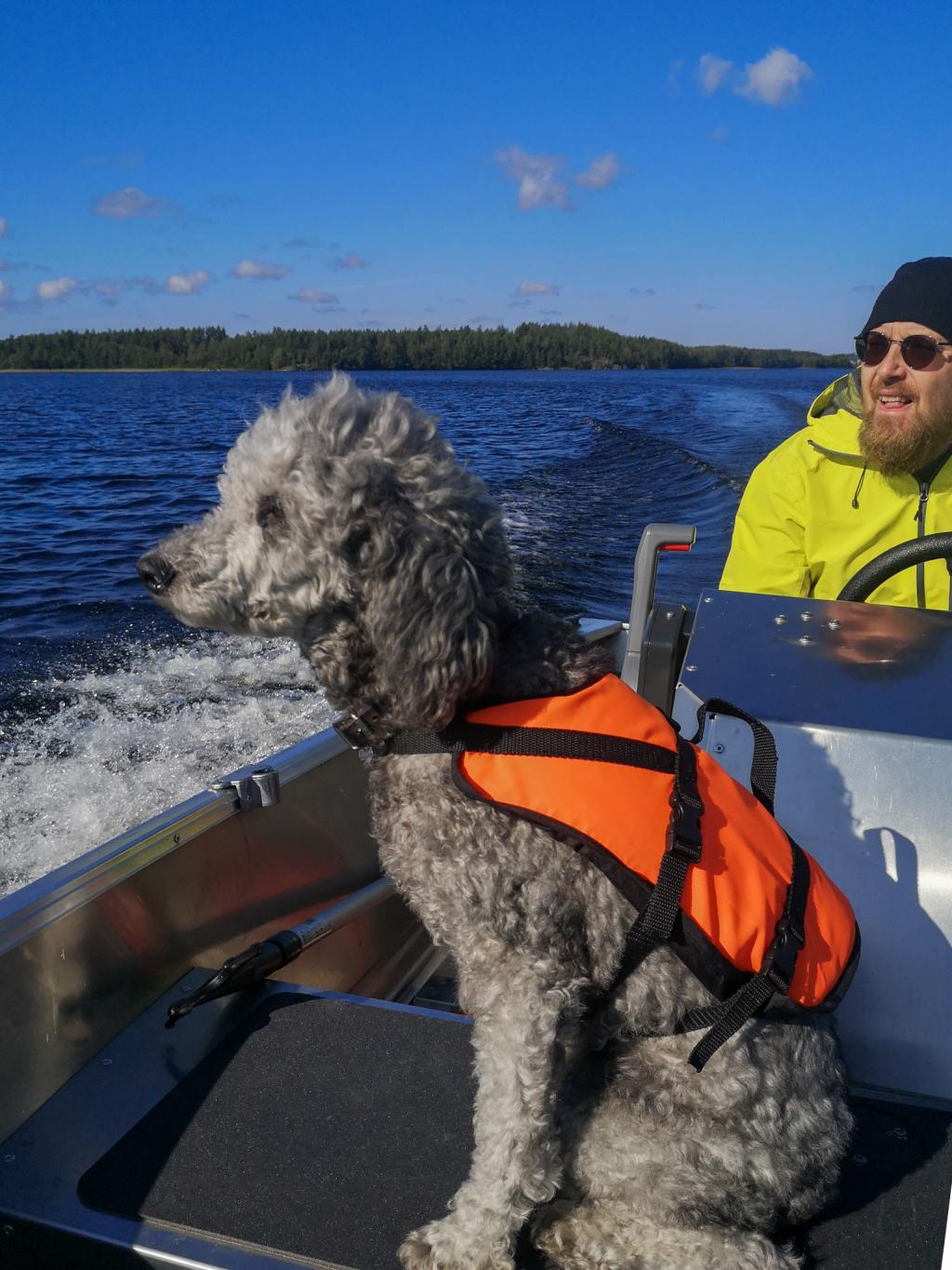 Anne-Mari Behm: tarinoita ja sieniä saaristosta - Laiturilla-hanke